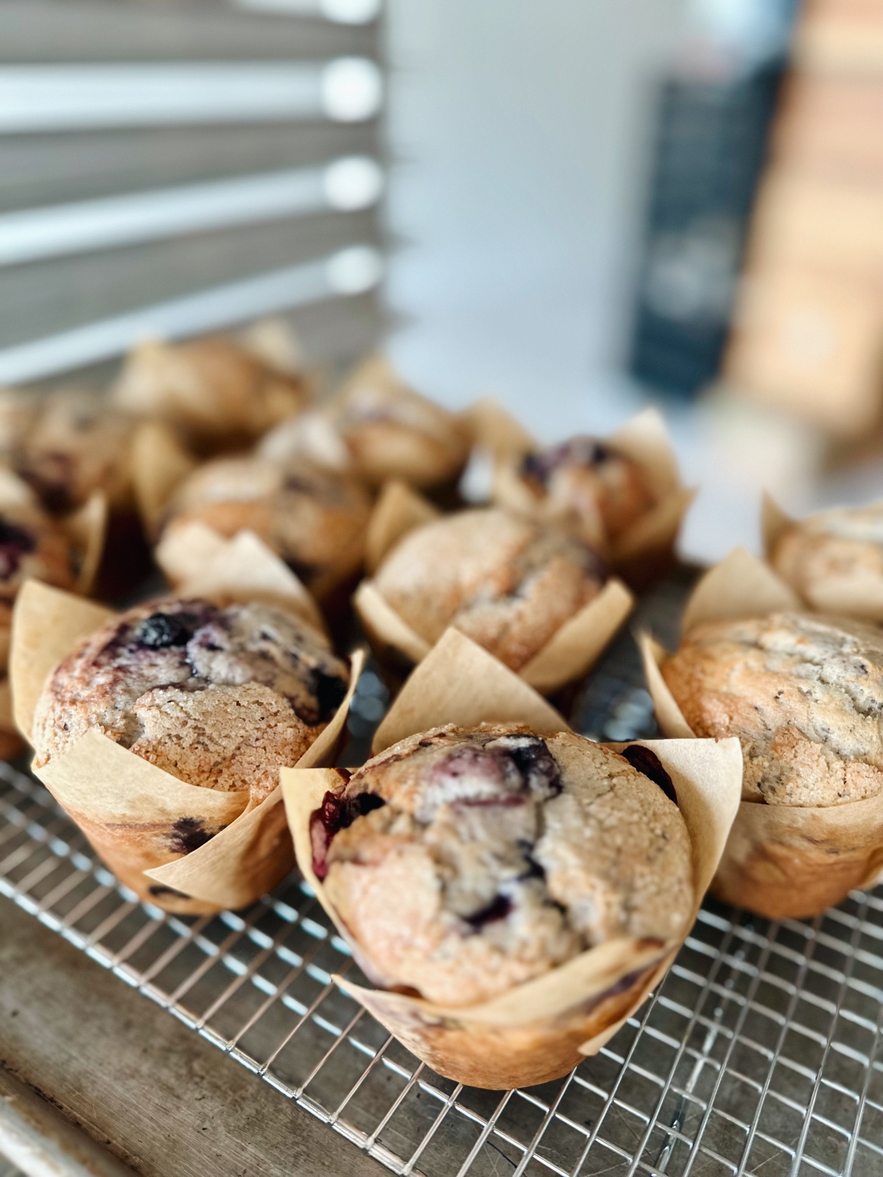 Muffins By The Dozen | JANE'S LANDING